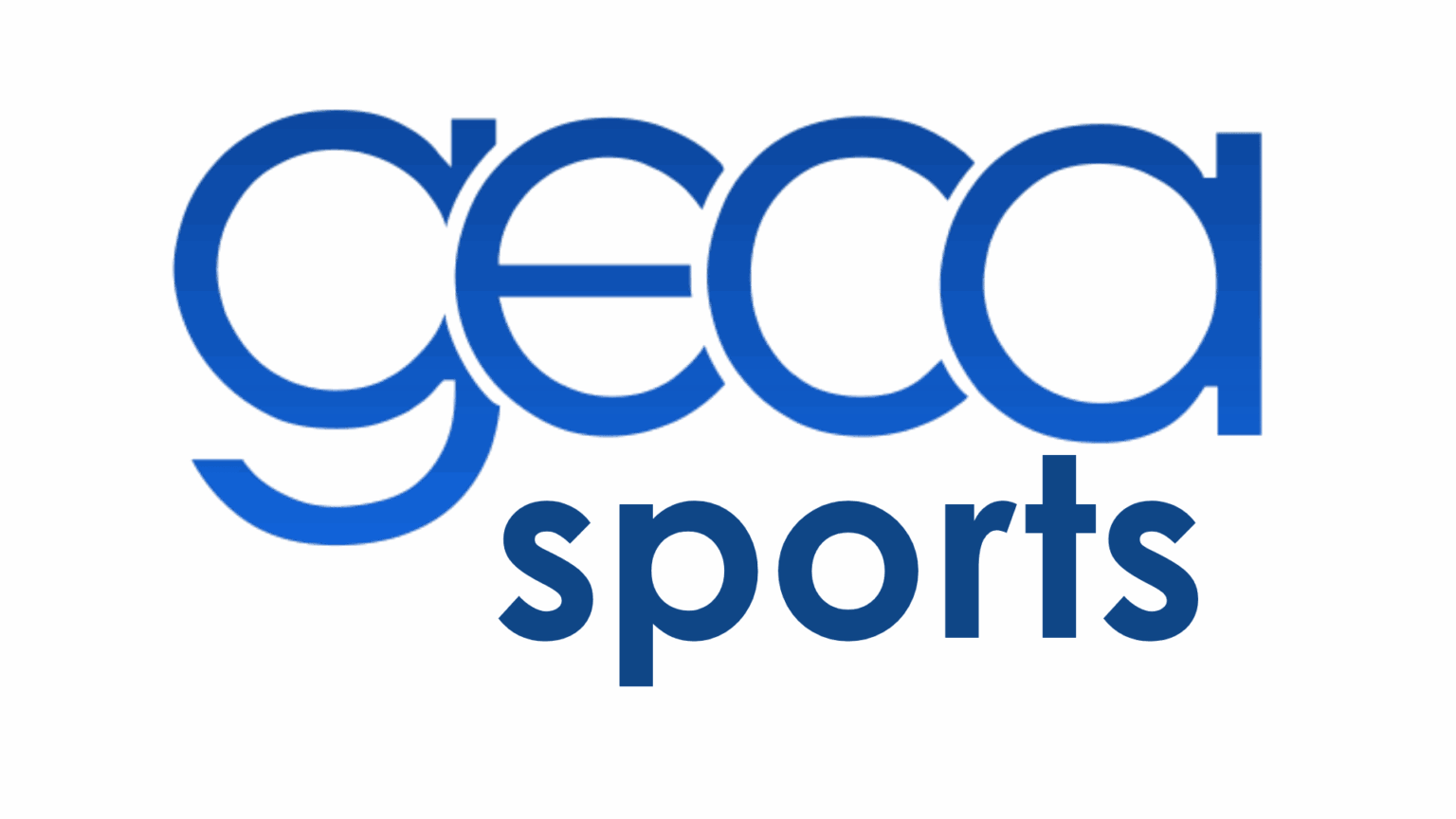 El Balance GECA - Anual 2024 - GECA